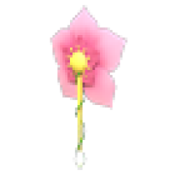 Wren - Roblox Adopt Me Trade | Traderie