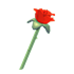 Looking For Rose Throw Toy | Roblox Adopt Me Trade | Traderie