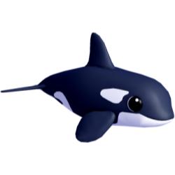 Orca | Club Roblox Trade | Traderie