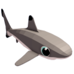 Reef Shark | Club Roblox Trade | Traderie
