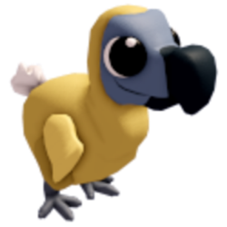 Dodo Chick Listing | Club Roblox Trade | Traderie