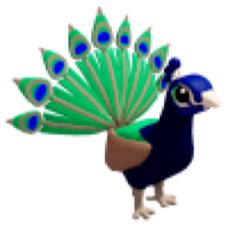 Peacock - Club Roblox Trade | Traderie