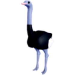 Ostrich | Trade Club Roblox Items | Traderie