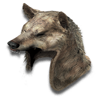 Nightwing's Veil - Diablo II: Resurrected (D2R) Trade | Traderie