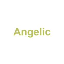 Angelic | Roblox Epic Minigames Trade | Traderie