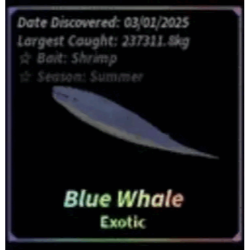 Blue Whale - Roblox Fisch Trade | Traderie