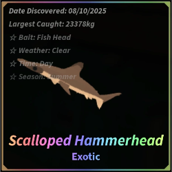 Scalloped Hammerhead - Roblox Fisch Trade | Traderie