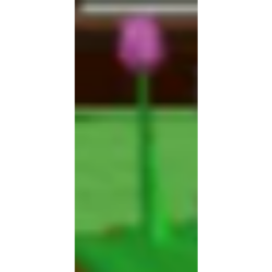 Looking For Pink Tulip | Roblox Grow a Garden (GAG) Trade | Traderie