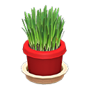 cat grass | Trade Animal Crossing: New Horizons (ACNH) (ACNH) Items ...