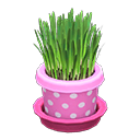 cat grass | Trade Animal Crossing: New Horizons (ACNH) (ACNH) Items ...