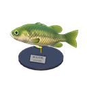black bass model | Animal Crossing: New Horizons (ACNH) (ACNH) Trade ...