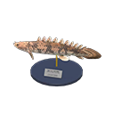 saddled bichir model | Animal Crossing: New Horizons (ACNH) (ACNH ...
