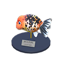 ranchu goldfish model | Animal Crossing: New Horizons (ACNH) (ACNH ...