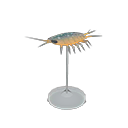 wharf roach model | Animal Crossing: New Horizons (ACNH) (ACNH) Wiki