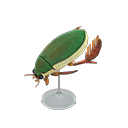 diving beetle model | Animal Crossing: New Horizons (ACNH) (ACNH) Wiki
