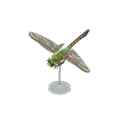 darner dragonfly model - Animal Crossing: New Horizons (ACNH) (ACNH ...
