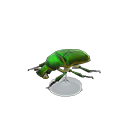 drone beetle model - Animal Crossing: New Horizons (ACNH) (ACNH) Trade ...