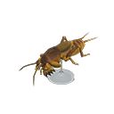 mole cricket model | Animal Crossing: New Horizons (ACNH) (ACNH) Wiki