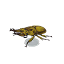 golden stag model - Animal Crossing: New Horizons (ACNH) (ACNH) Trade ...