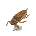 giant water bug model | Animal Crossing: New Horizons (ACNH) (ACNH ...