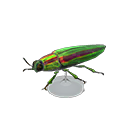 jewel beetle model | Animal Crossing: New Horizons (ACNH) (ACNH) Trade ...