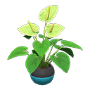 anthurium plant | Trade Animal Crossing: New Horizons (ACNH) (ACNH ...