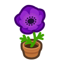 purple-windflower plant | Animal Crossing: New Horizons (ACNH) (ACNH ...
