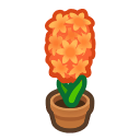 orange-hyacinth plant | Animal Crossing: New Horizons (ACNH) (ACNH ...