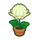 white-mum plant | Animal Crossing: New Horizons (ACNH) (ACNH) Trade ...