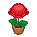 red-mum plant | Animal Crossing: New Horizons (ACNH) (ACNH) Wiki