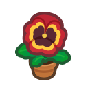 orange-pansy plant | Animal Crossing: New Horizons (ACNH) (ACNH) Trade ...