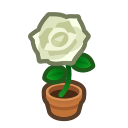 white-rose plant | Animal Crossing: New Horizons (ACNH) (ACNH) Trade ...