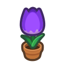 purple-tulip plant | Animal Crossing: New Horizons (ACNH) (ACNH) Trade ...