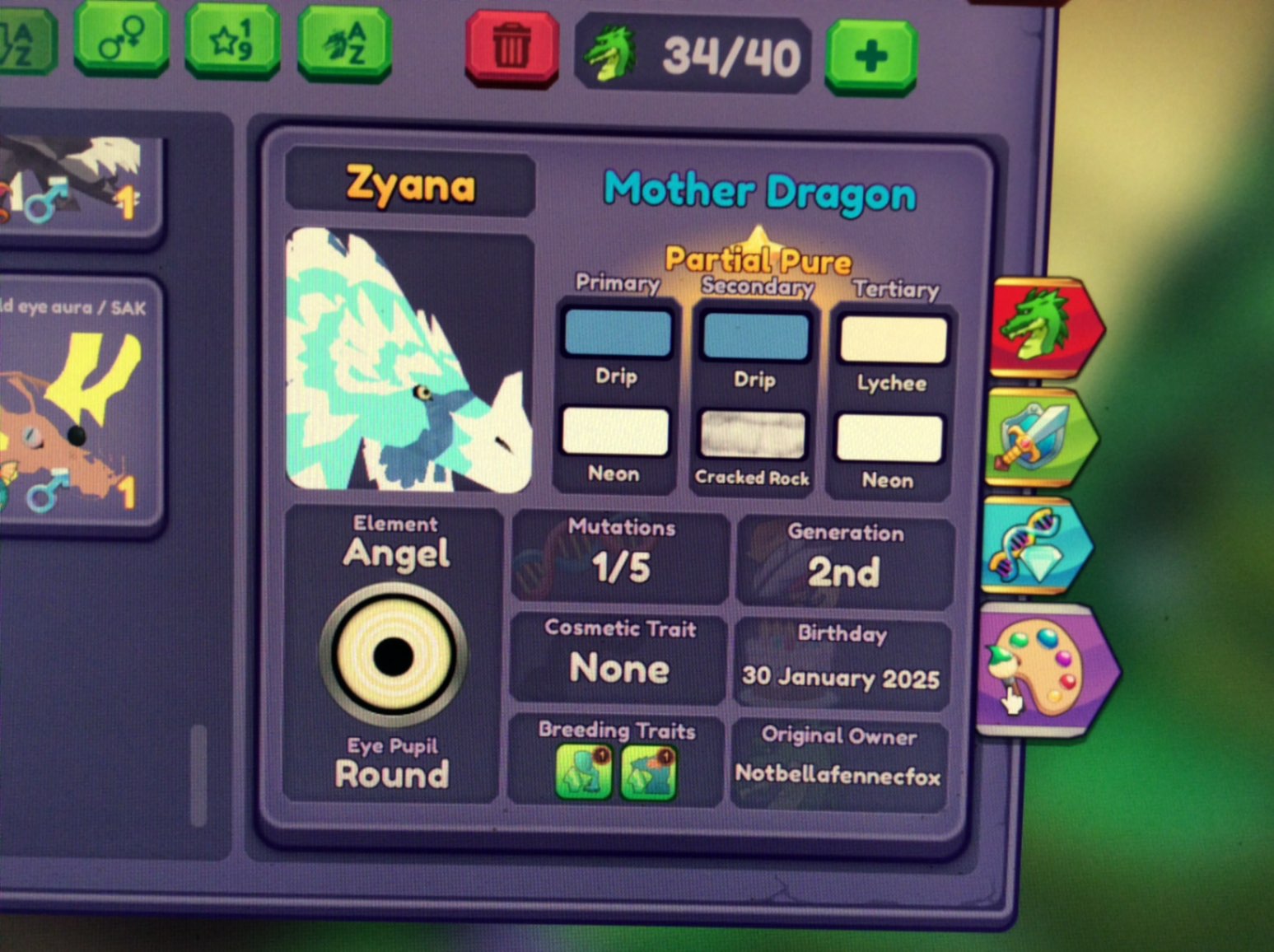 Mother Dragon - Roblox Dragon Adventures Trade | Traderie