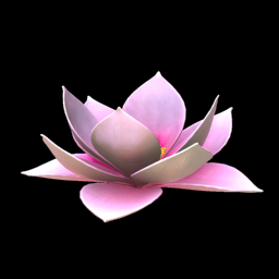 Flower - Lotus | Rocket League Trade | Traderie