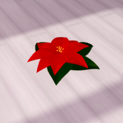 What is Poinsettia Flower / Plant worth? Poinsettia Flower / Plant ...