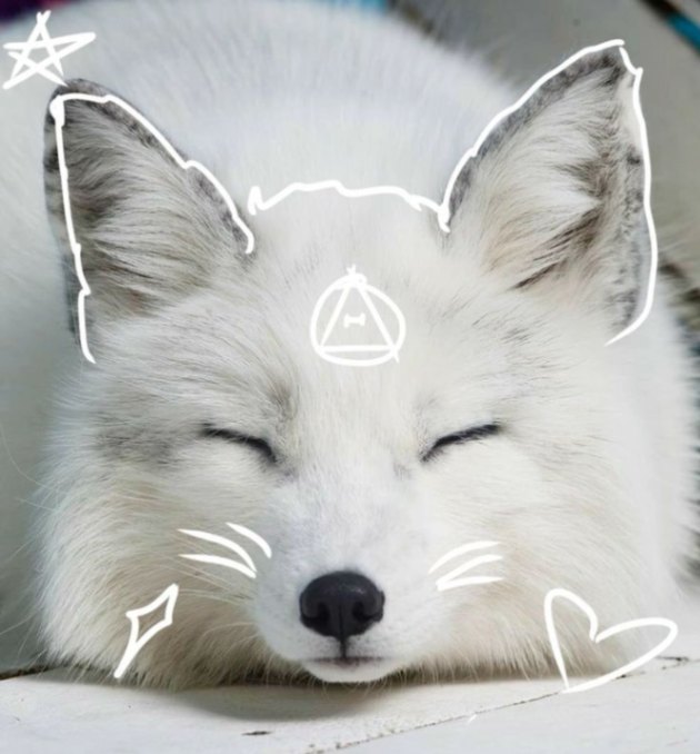 Sochuri - Roblox Creatures of Sonaria Trade | Traderie