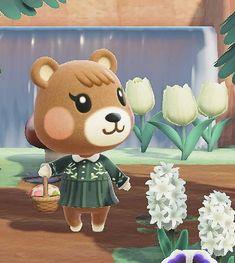 Lovely_Bunny's Profile | Animal Crossing: New Horizons (ACNH) (ACNH ...