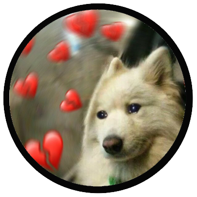 Royale..dogs's Profile | Royale High (RH) | Traderie