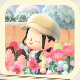 shell partition | Animal Crossing: New Horizons (ACNH) (ACNH) Trade ...