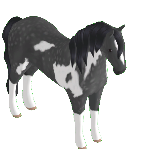 Friesian Horse (v1) - Wild Horse Islands Trade | Traderie