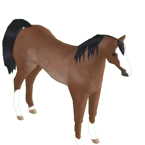 ThatSpottedCob's Profile | Animal Crossing: New Horizons (ACNH) (ACNH ...