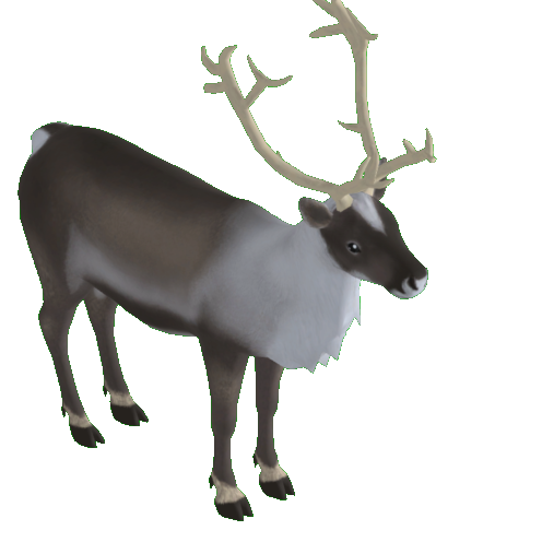 Reindeer - Wild Horse Islands Trade | Traderie