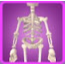 Skeleton Costume (light) - Roblox World Zero Trade | Traderie